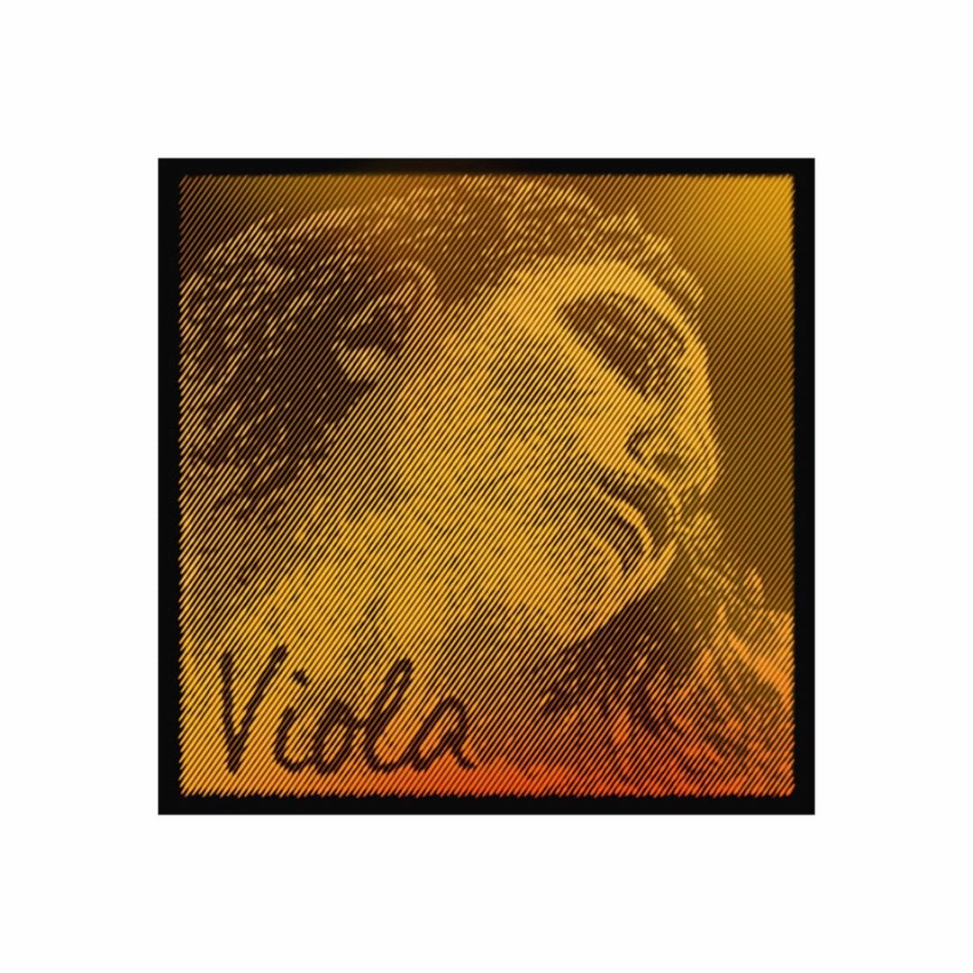 Pirastro Evah Pirazzi Gold Viola Strings - Southwest Strings