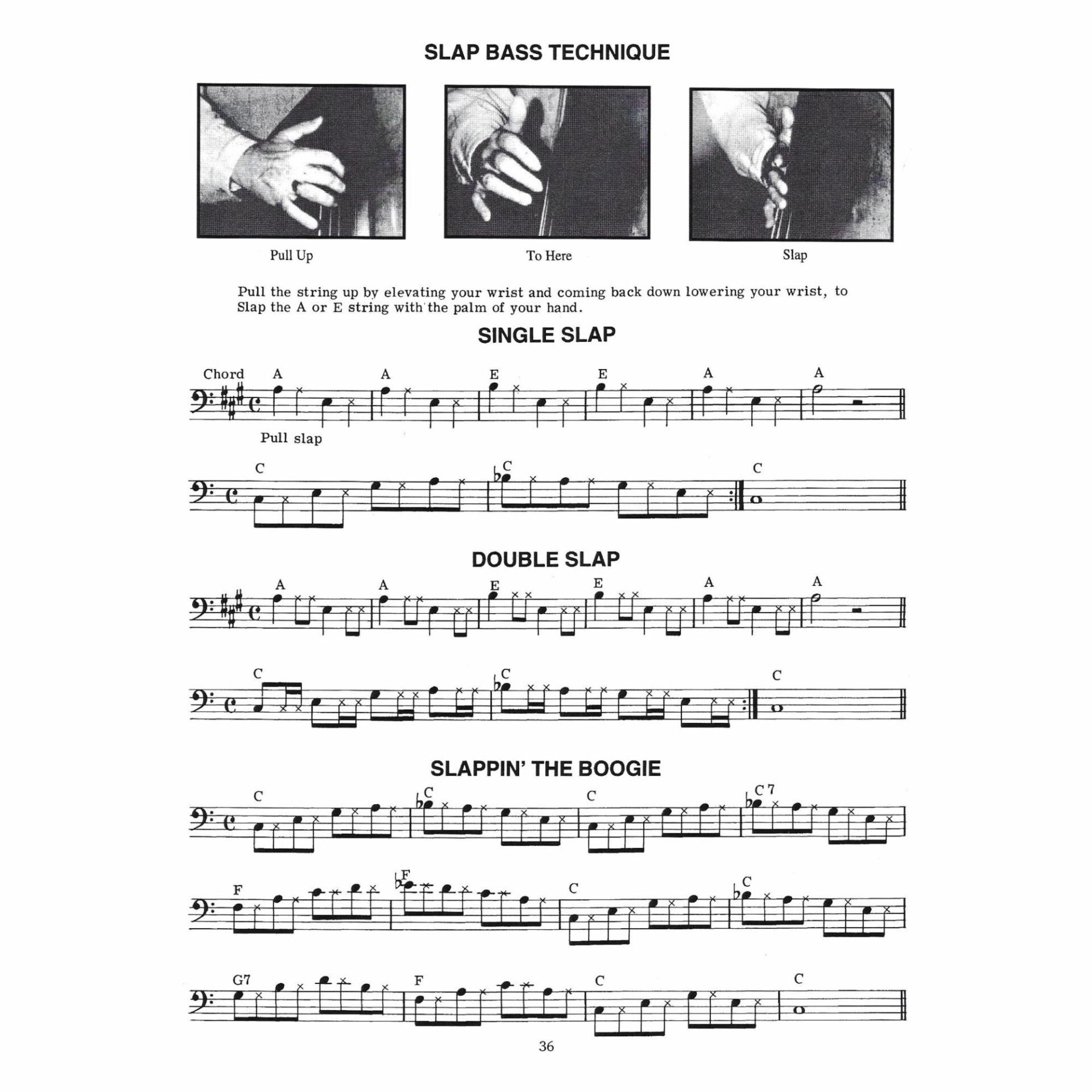 Learn to Play Bluegrass Bass - Southwest Strings