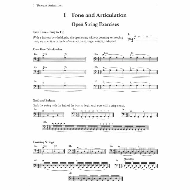 Habits of a Successful String Musician - Southwest Strings